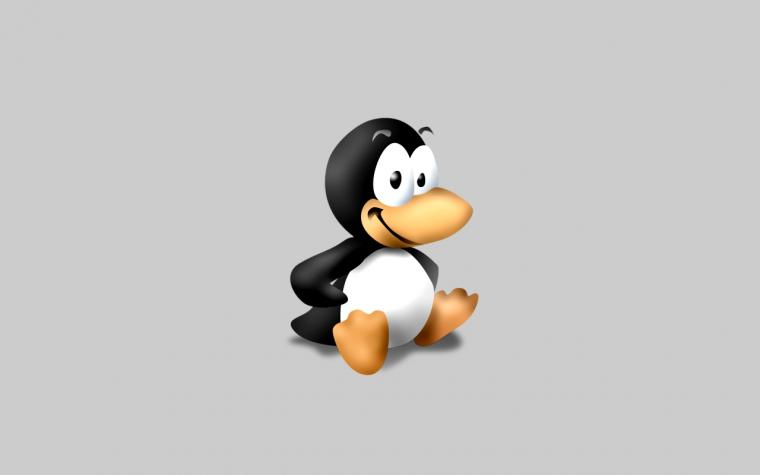 🔥 Free Download Linux Tux Wallpaper by @jasonbentley | WallpaperSafari