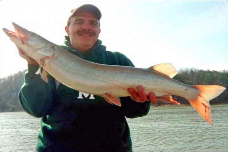 🔥 Free Download Muskies Desktop Background General Discussion Muskie ...