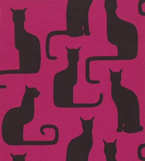 🔥 [20+] Omega Cat Wallpapers | WallpaperSafari