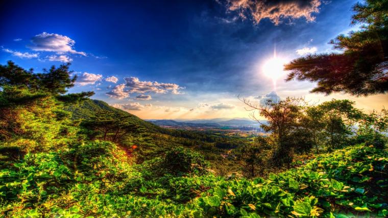 🔥 Free Download Landscapes Nature Forests Distance Valleys Hdr ...