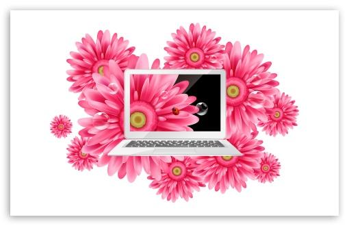 🔥 [50+] Wallpapers for 15.6 Inch Screen | WallpaperSafari