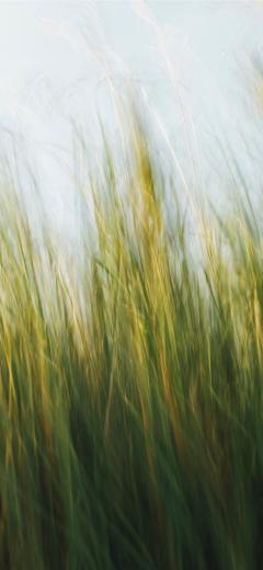 🔥 [30+] Analog Wallpapers | WallpaperSafari