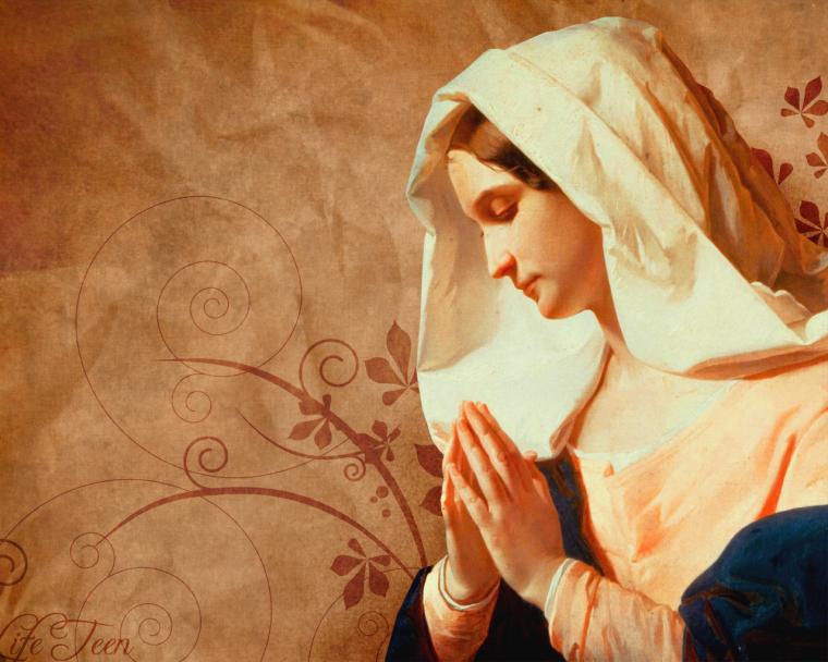 Free download What To Expect St Francis of Assisi Parish [1440x900] for ...
