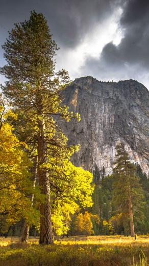 🔥 Free Download Dell g3 Wallpaper Posted In The Community by ...