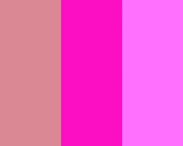 🔥 [70+] Shocking Pink Wallpapers | WallpaperSafari