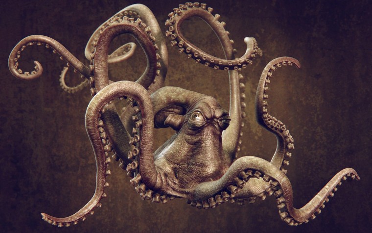 🔥 [130+] HD Octopus Wallpapers | WallpaperSafari