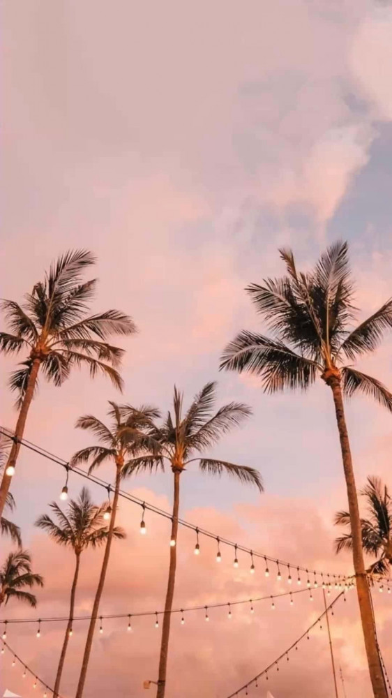 🔥 [150+] Preppy Girl Aesthetic Wallpapers | WallpaperSafari