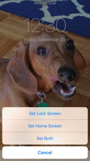 Free Download How To Add New Live Wallpapers To IPhone 6s And IPhone 6s Plus 600x356 For Your free-download-how-to-add-new-live-wallpapers-to-iphone-6s-and-iphone-6s-plus-600x356-for-your