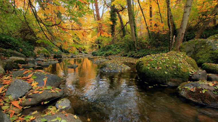 🔥 [40+] 8k 7680x4320 Ultra Hd Resolution Desktop Wallpapers ...