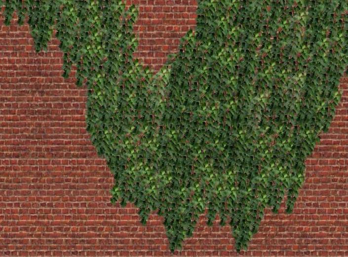 🔥 [50+] Brick and Ivy Wallpapers | WallpaperSafari
