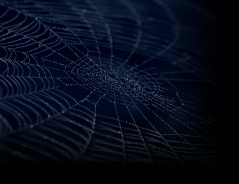 🔥 [120+] Spiderweb Backgrounds | WallpaperSafari