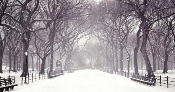 🔥 [50+] Free Snow Screensavers and Wallpapers | WallpaperSafari