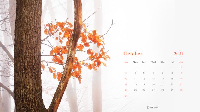 🔥 Free Download October Calendar Wallpaper Desktop Mobile by ...