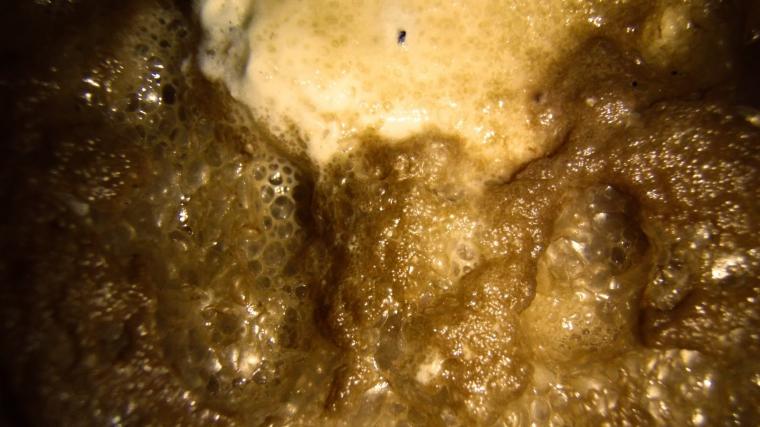 🔥 [80+] Gross Wallpapers | WallpaperSafari