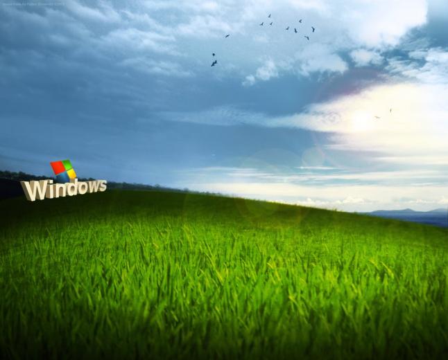 🔥 Free Download Windows Bliss Wallpaper by @matthewcampbell ...