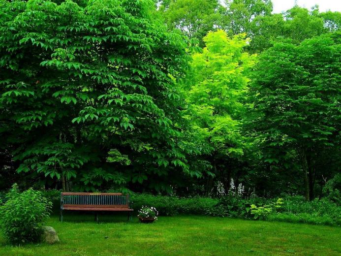 🔥 [50+] Spring Season Pictures Wallpapers | WallpaperSafari