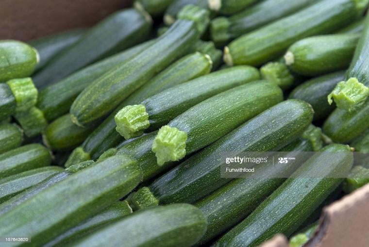 🔥 [10+] Zucchini Backgrounds | WallpaperSafari