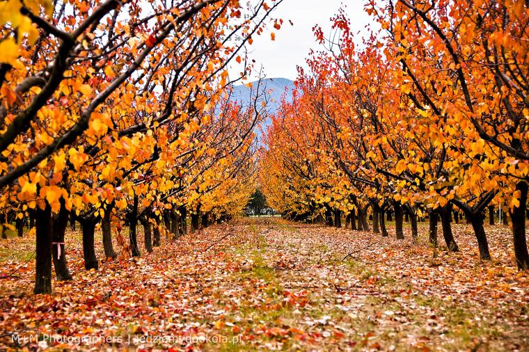 🔥 [50+] Mike Lythgoe Wallpapers | WallpaperSafari