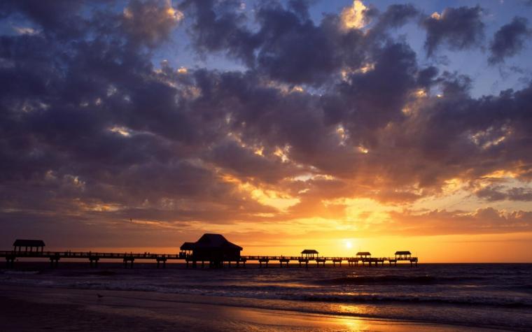 🔥 [140+] Free Florida Wallpapers | WallpaperSafari
