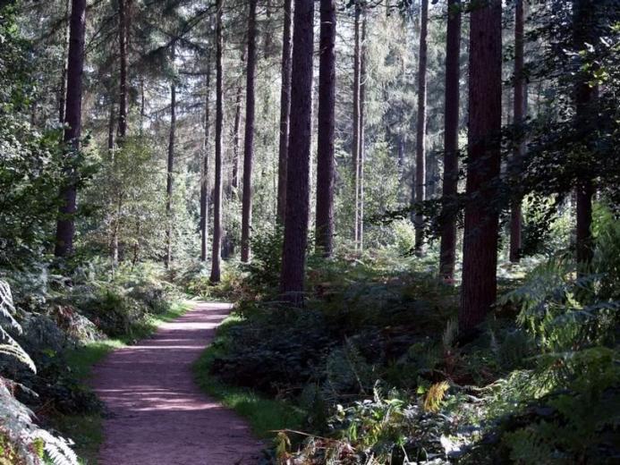 🔥 [40+] Late Spring Wallpapers | WallpaperSafari