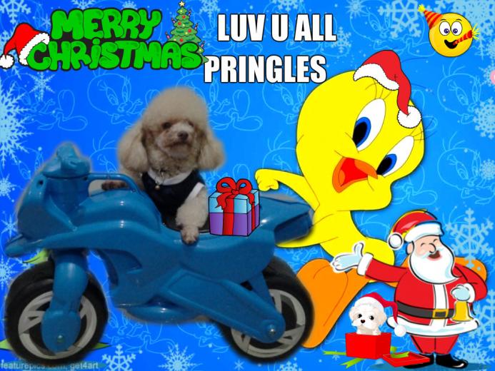 Free download Happy Thursday Tweety Bird [532x640] for your Desktop ...