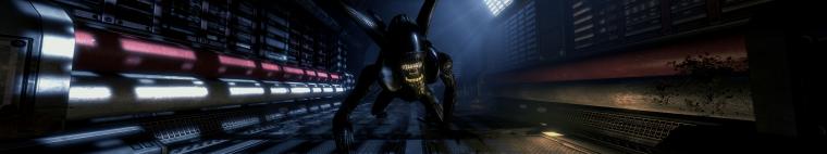 🔥 [30+] Surround Wallpapers | WallpaperSafari