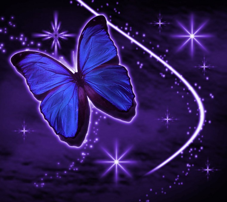 Free Download Purple Butterfly Wallpapers For Pc 6996 Hd Wallpapers