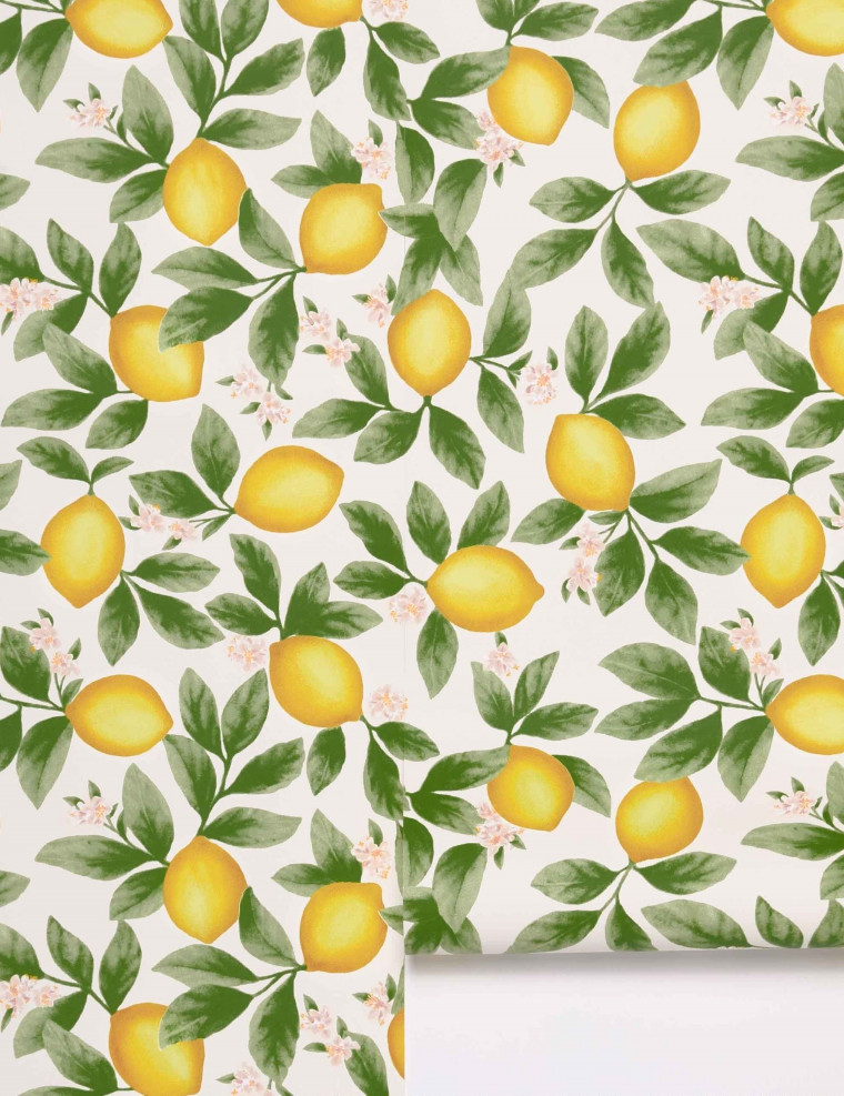 🔥 [40+] Lemon Wallpapers | WallpaperSafari