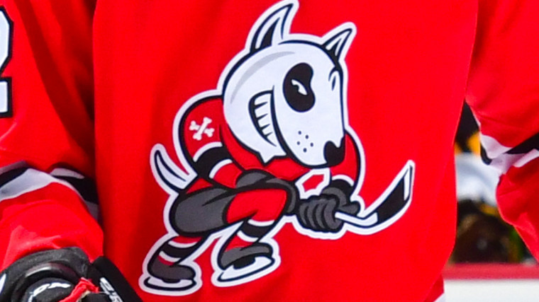 🔥 [30+] Niagara Ice Dog Logos Wallpapers | WallpaperSafari