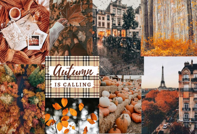 🔥 [20+] Aesthetic Fall Wallpapers | WallpaperSafari