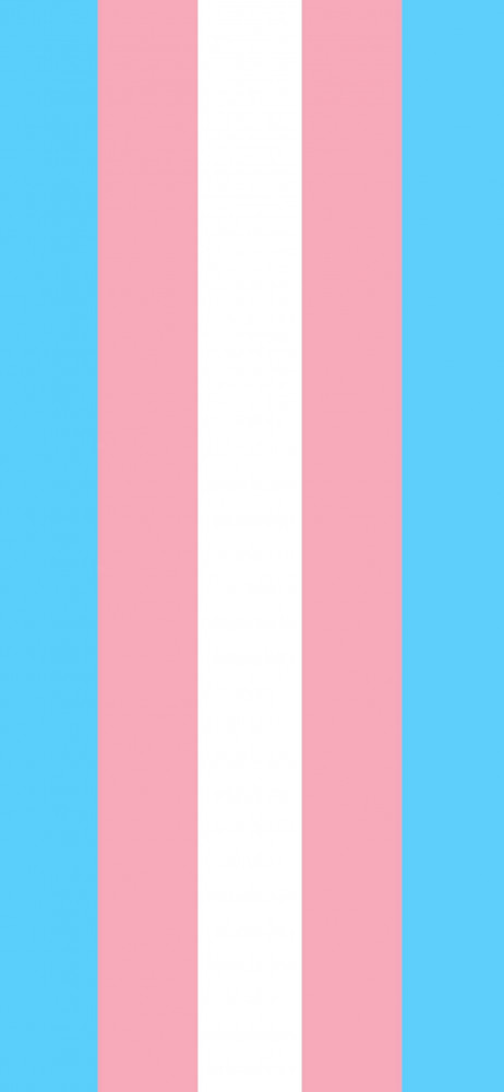 🔥 [50+] Trans Flag Wallpapers | WallpaperSafari