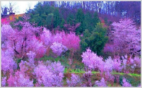 🔥 [50+] Spring Wallpapers High-Res | WallpaperSafari