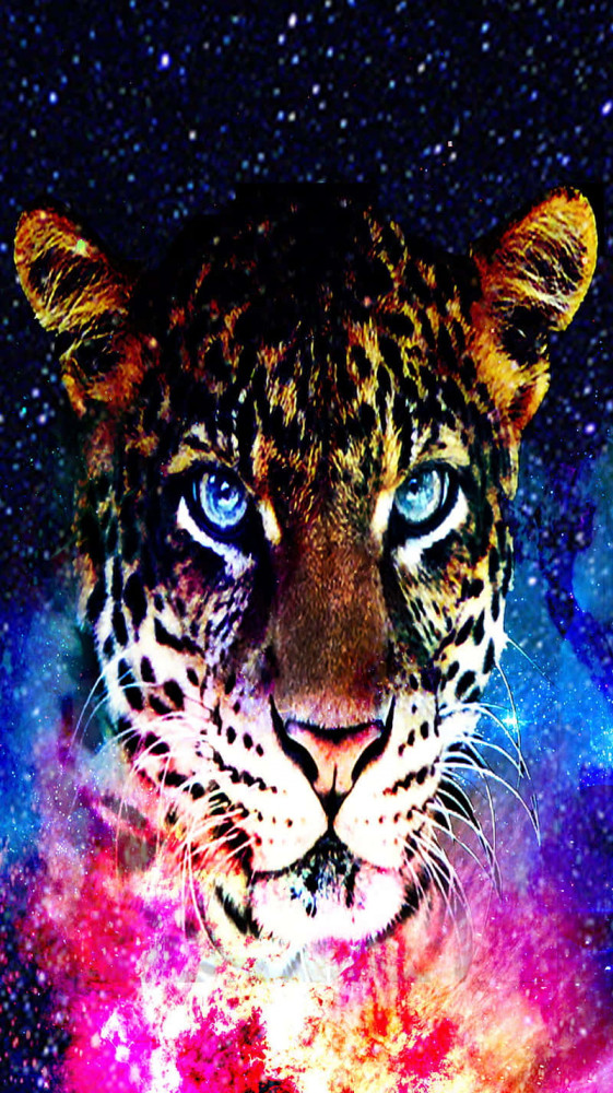 🔥 [50+] Cool Animal Galaxy Wallpapers | WallpaperSafari
