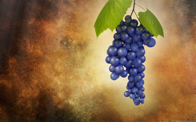 🔥 [20+] Grapes Wallpapers | WallpaperSafari