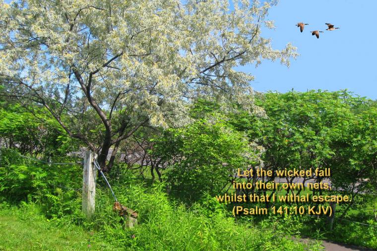 🔥 [90+] KJV Bible Verse Wallpapers | WallpaperSafari