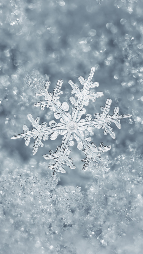 🔥 [50+] Snowflake Wallpapers | WallpaperSafari