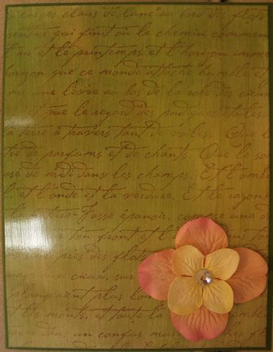 🔥 [40+] French Writing Wallpapers | WallpaperSafari