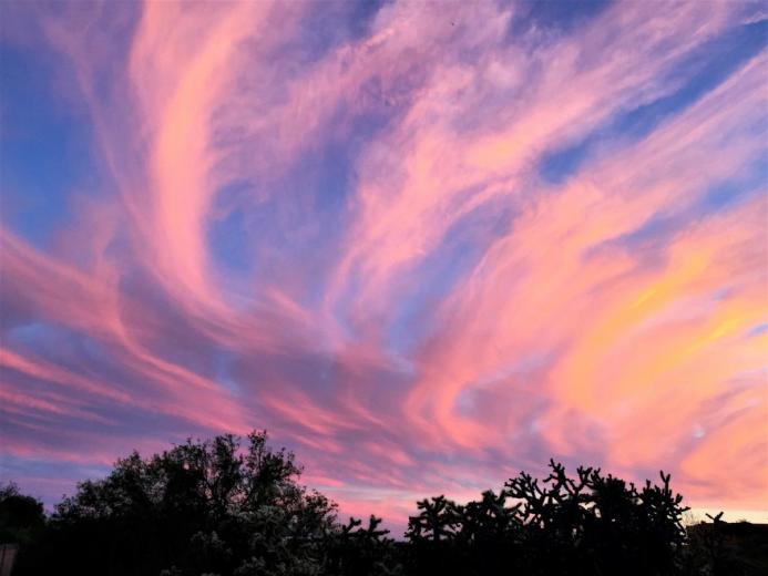 🔥 [50+] Eye Candy Wallpapers | WallpaperSafari