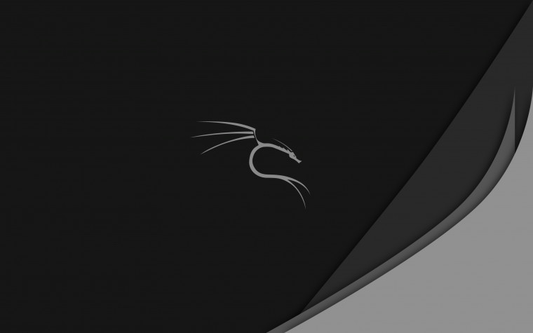🔥 [50+] Kali Linux Wallpapers | WallpaperSafari