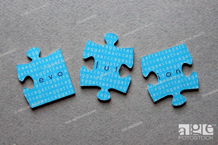 🔥 Free Download The Word Evolution Against Background Of Human Genome Sequence By Chelsear12