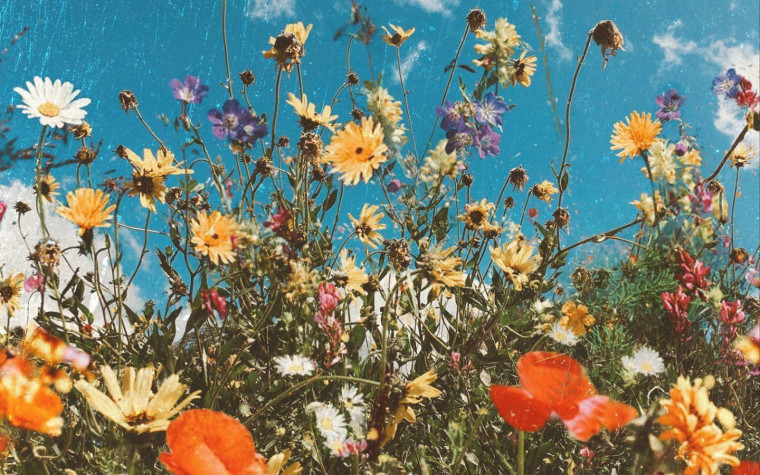 🔥 [50+] Spring Aesthetic Wallpapers | WallpaperSafari