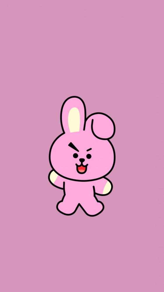 🔥 [50+] Cooky Bt21 Wallpapers | WallpaperSafari