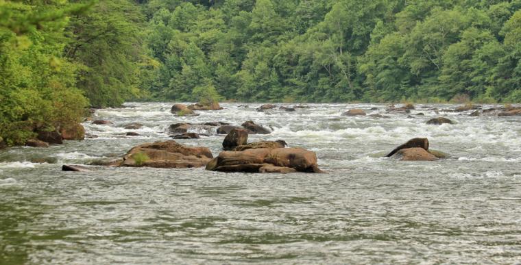 🔥 [10+] Rapids Backgrounds | WallpaperSafari