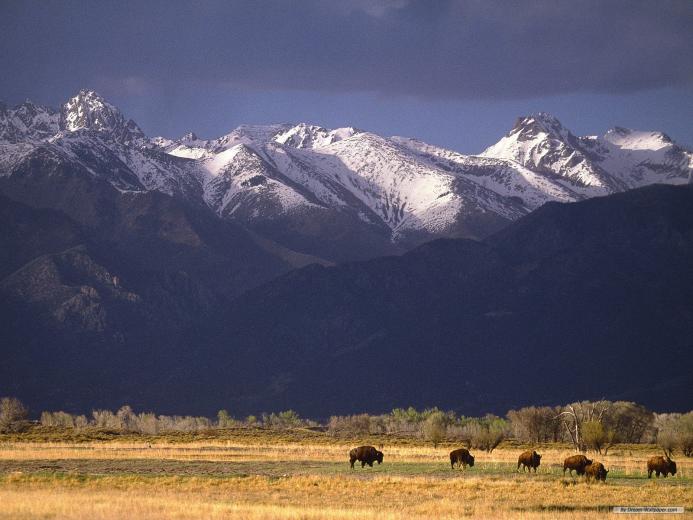 🔥 Free Download Wallpaper Nature Webshots Daily Photo by @felicialopez ...