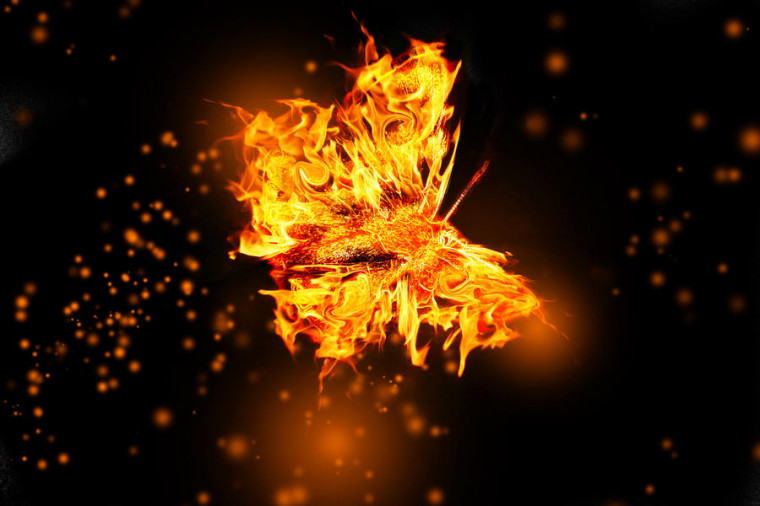🔥 [20+] Fire Butterfly Wallpapers | WallpaperSafari