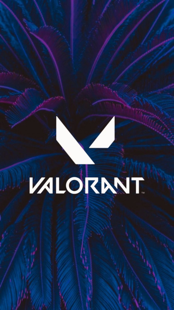 🔥 [70+] Valorant Aesthetic IPhone Wallpapers | WallpaperSafari