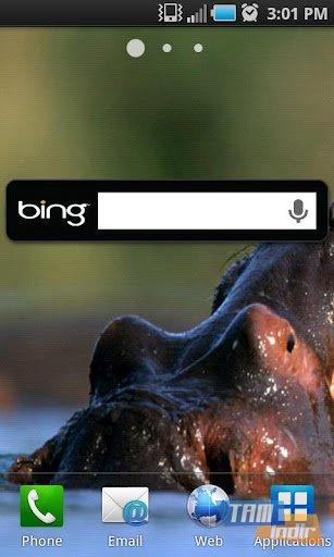 🔥 [50+] Bing Live Wallpapers Android | WallpaperSafari