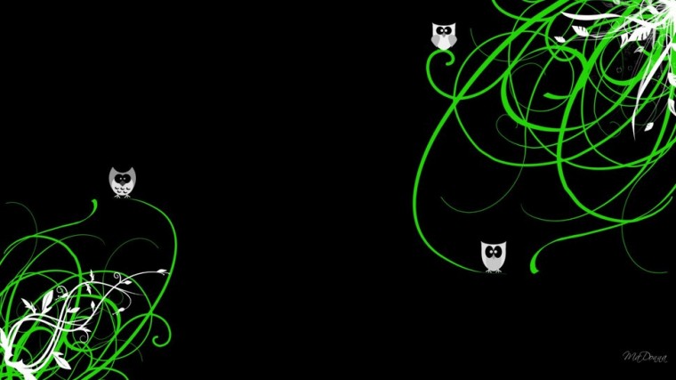 🔥 [70+] Hooters Wallpapers | WallpaperSafari