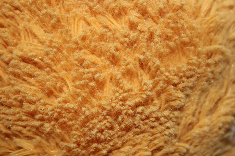 🔥 [80+] Animal Fur Wallpapers | WallpaperSafari