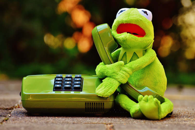 🔥 [70+] Kermit The Frog Wallpapers | WallpaperSafari
